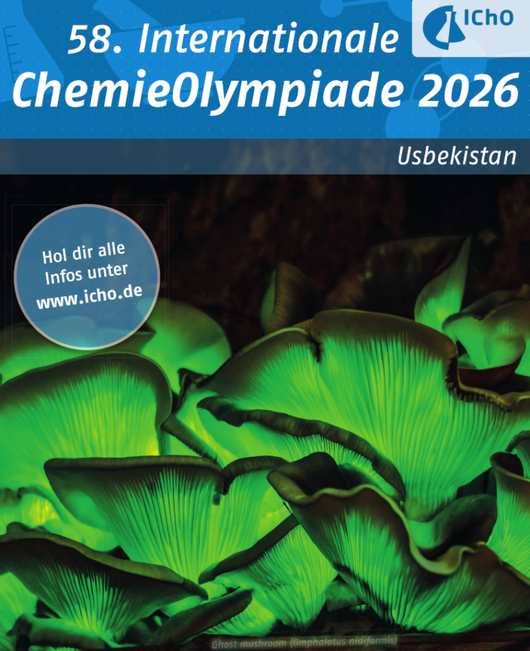 1. Runde IChO 2026 – IChO NRW Landesförderung